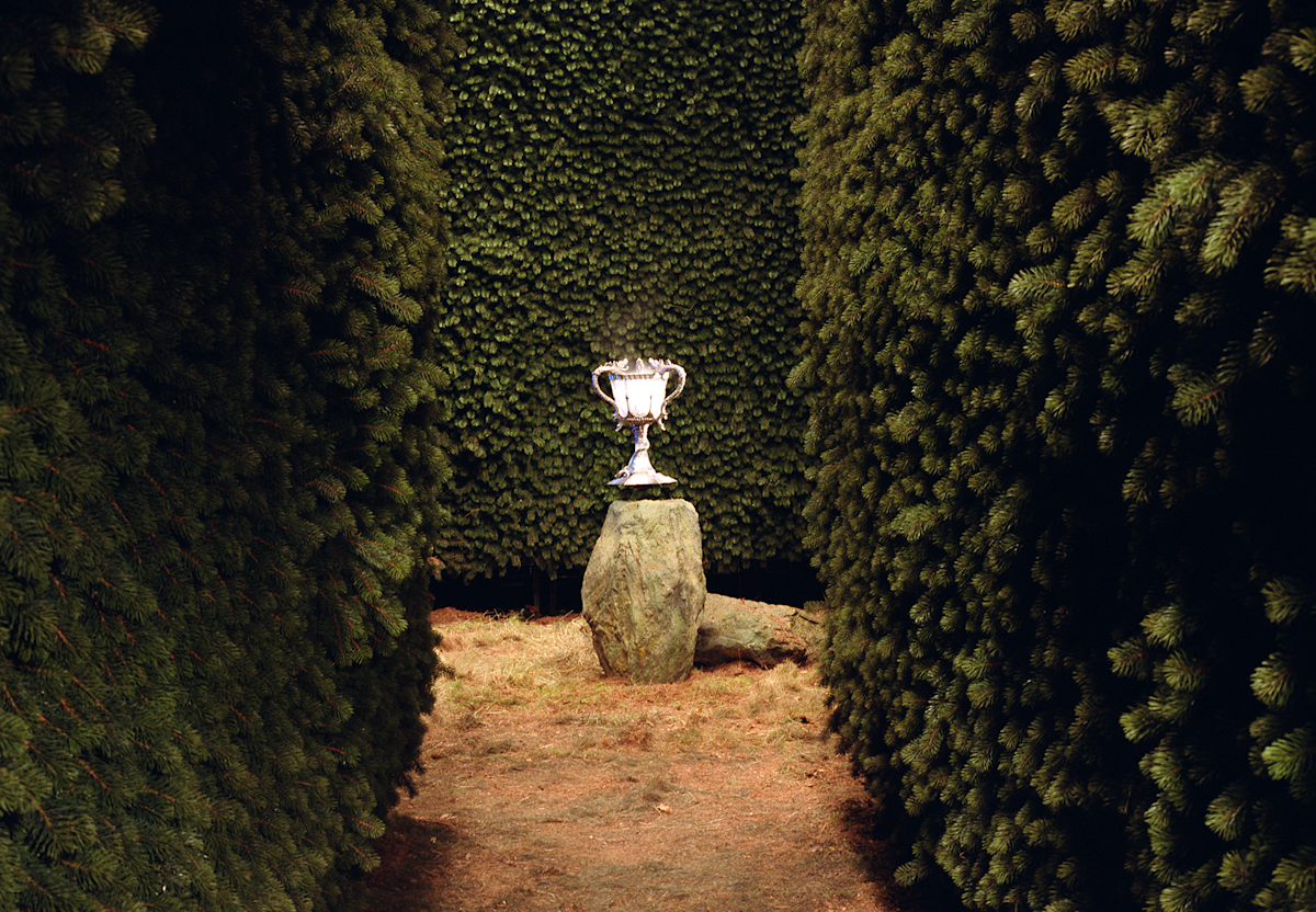 The Triwizard Cup | Official Harry Potter Encyclopedia