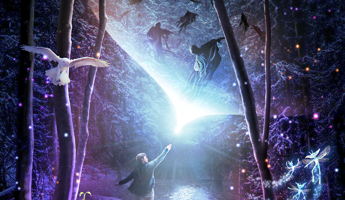 Harry Potter | Watch: Fans take on Harry Potter quizzes at A Forbidden ...