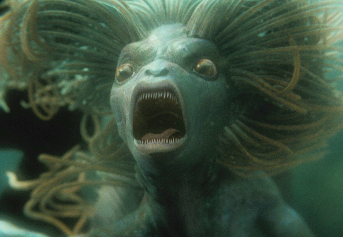 Merperson | Official Harry Potter Encyclopedia