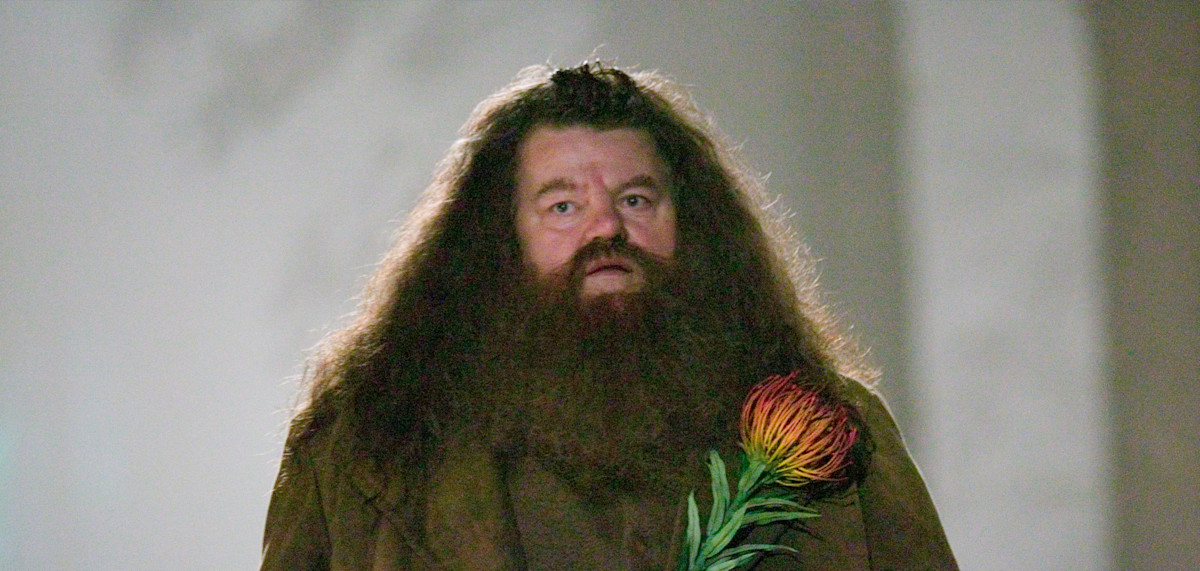 Harry Potter | Complete the quote quiz: Hagrid edition | Wizarding World