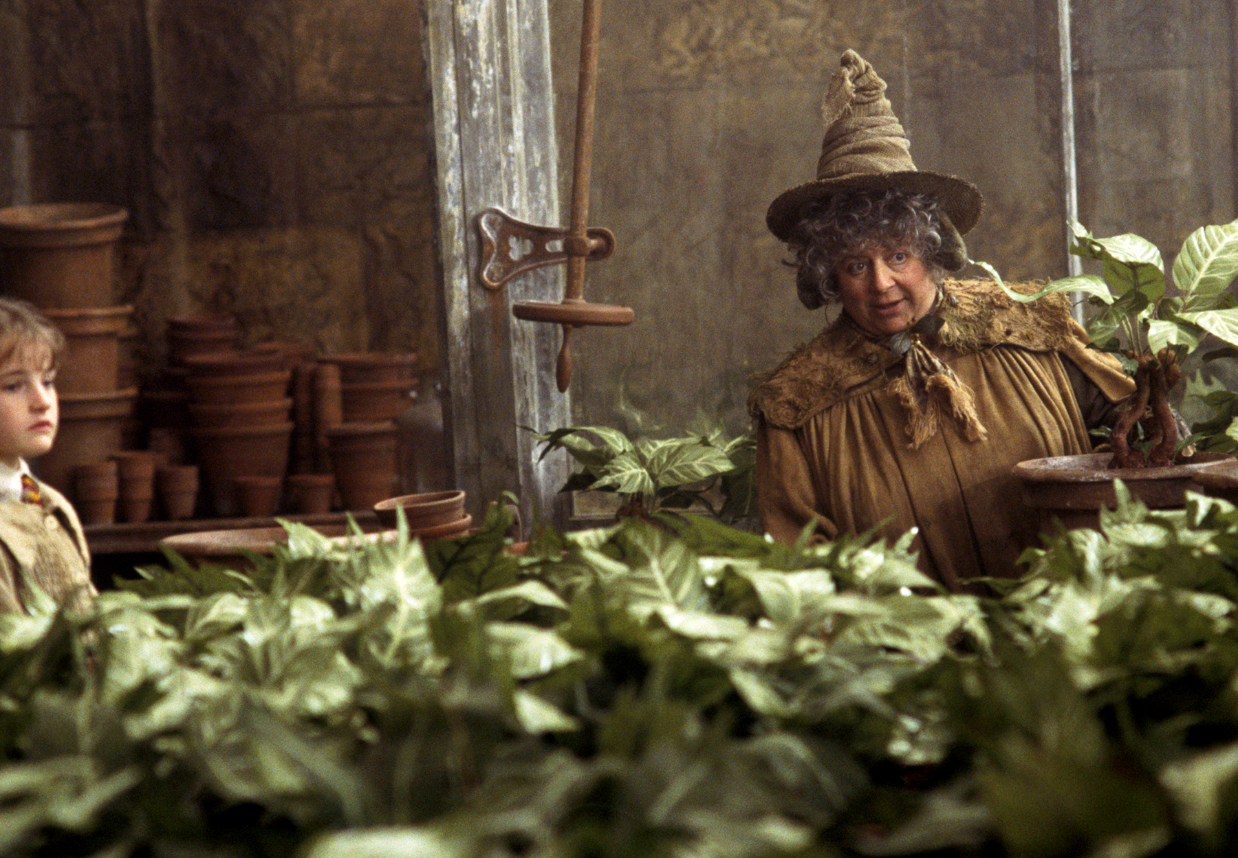 Herbology Official Harry Potter Encyclopedia
