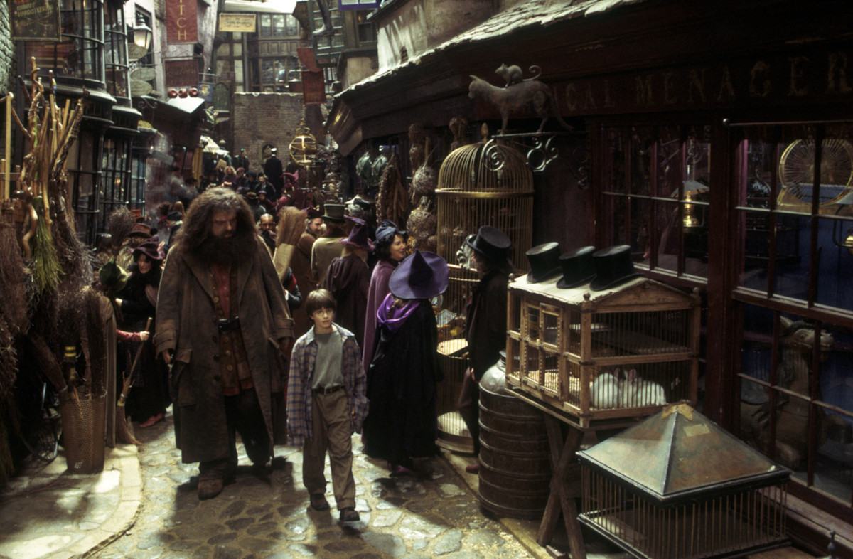 Harry Potter | Rubeus Hagrid and the case of the pink, flowery umbrella ...