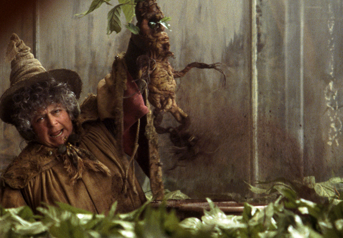 The greenhouses | Official Harry Potter Encyclopedia