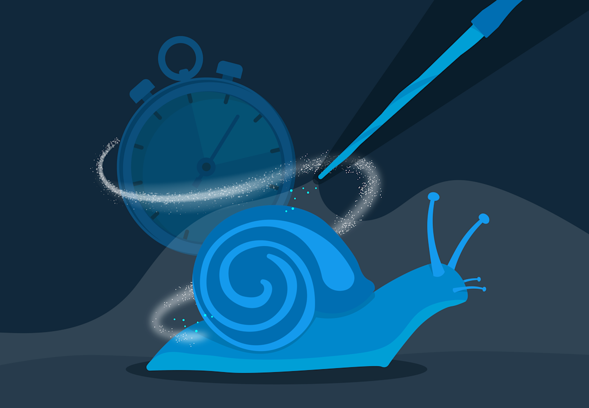 Impedimenta How To Say Impedimenta YouTube