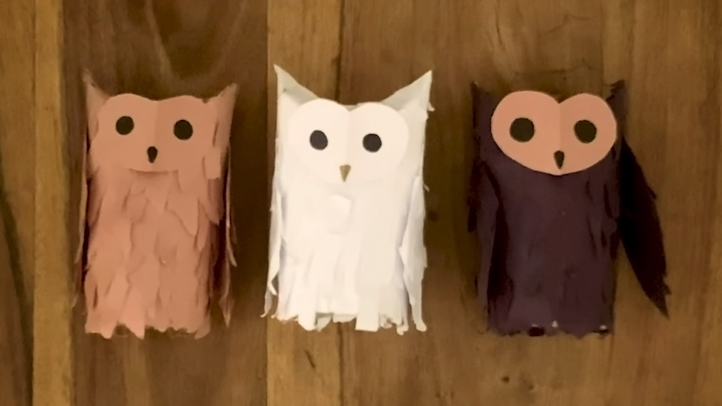 Paper owl craft store