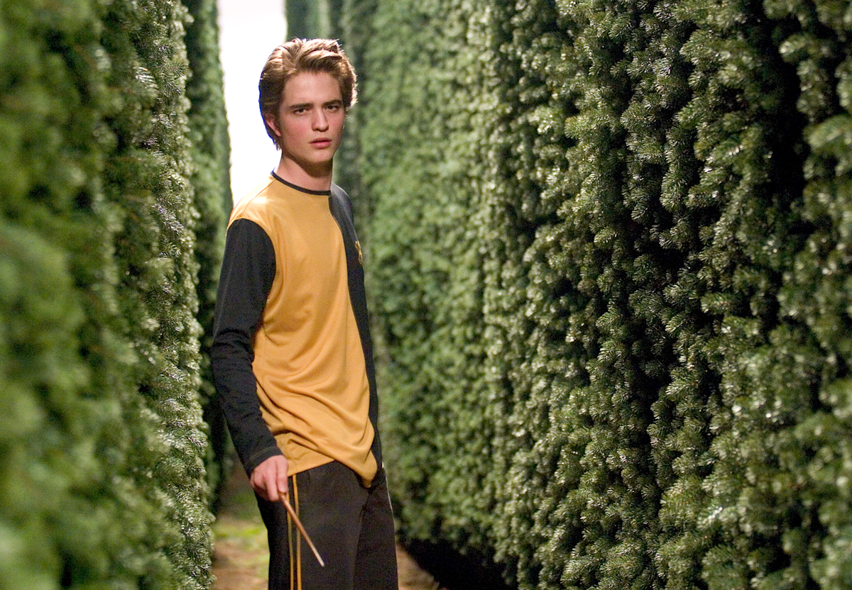 Cedric Diggory | Official Harry Potter Encyclopedia