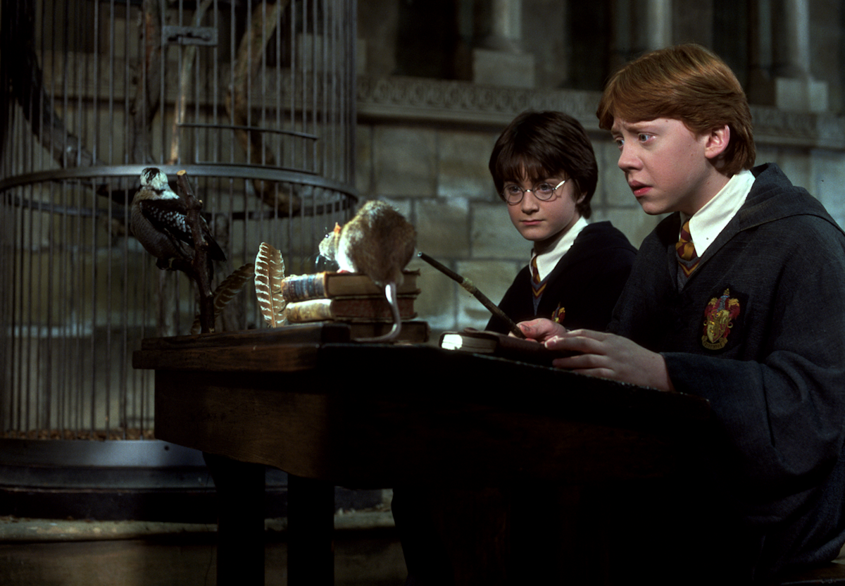 Transfiguration | Official Harry Potter Encyclopedia