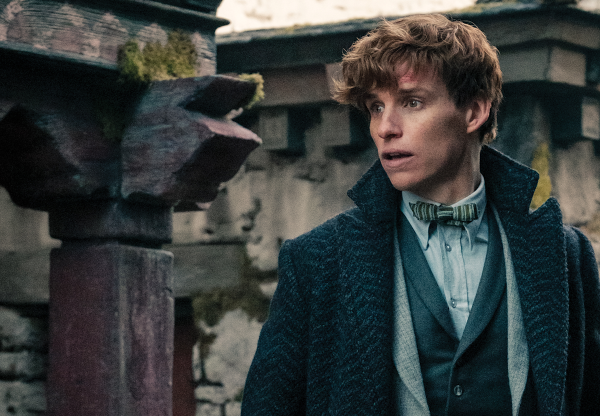 Newt Scamander | Official Harry Potter Encyclopedia