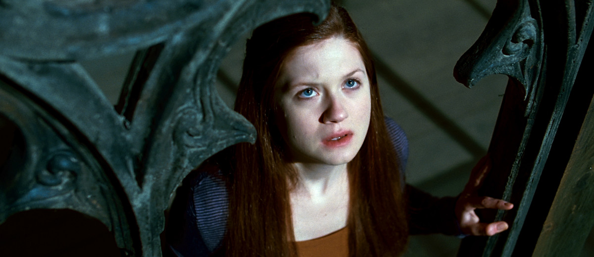 Harry Potter | What if Ginny Weasley had never possessed Tom Riddle's ...