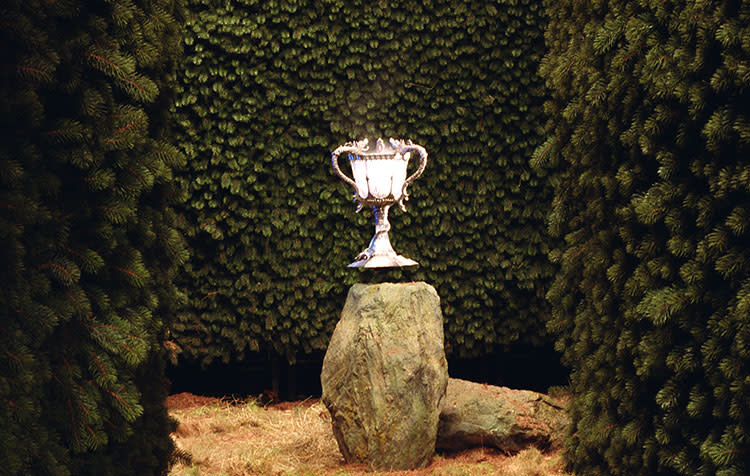 Harry Potter | True or False: Triwizard Tournament edition | Wizarding ...
