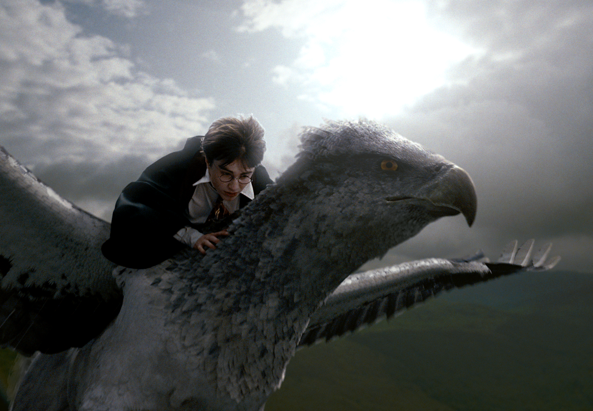 Hippogriff | Official Harry Potter Encyclopedia
