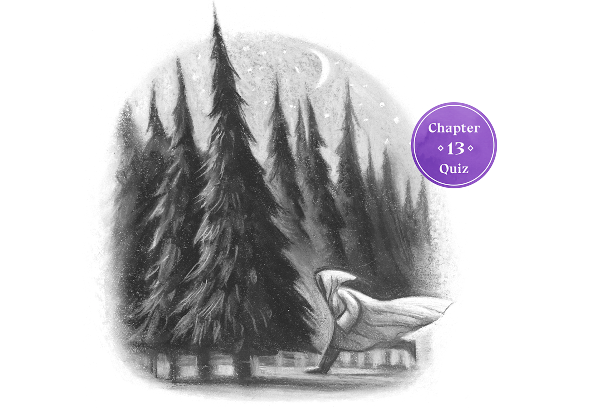 Harry Potter | Chapter Thirteen Quiz | Wizarding World