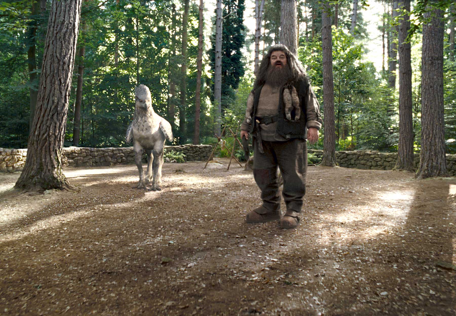 Care of Magical Creatures | Official Harry Potter Encyclopedia