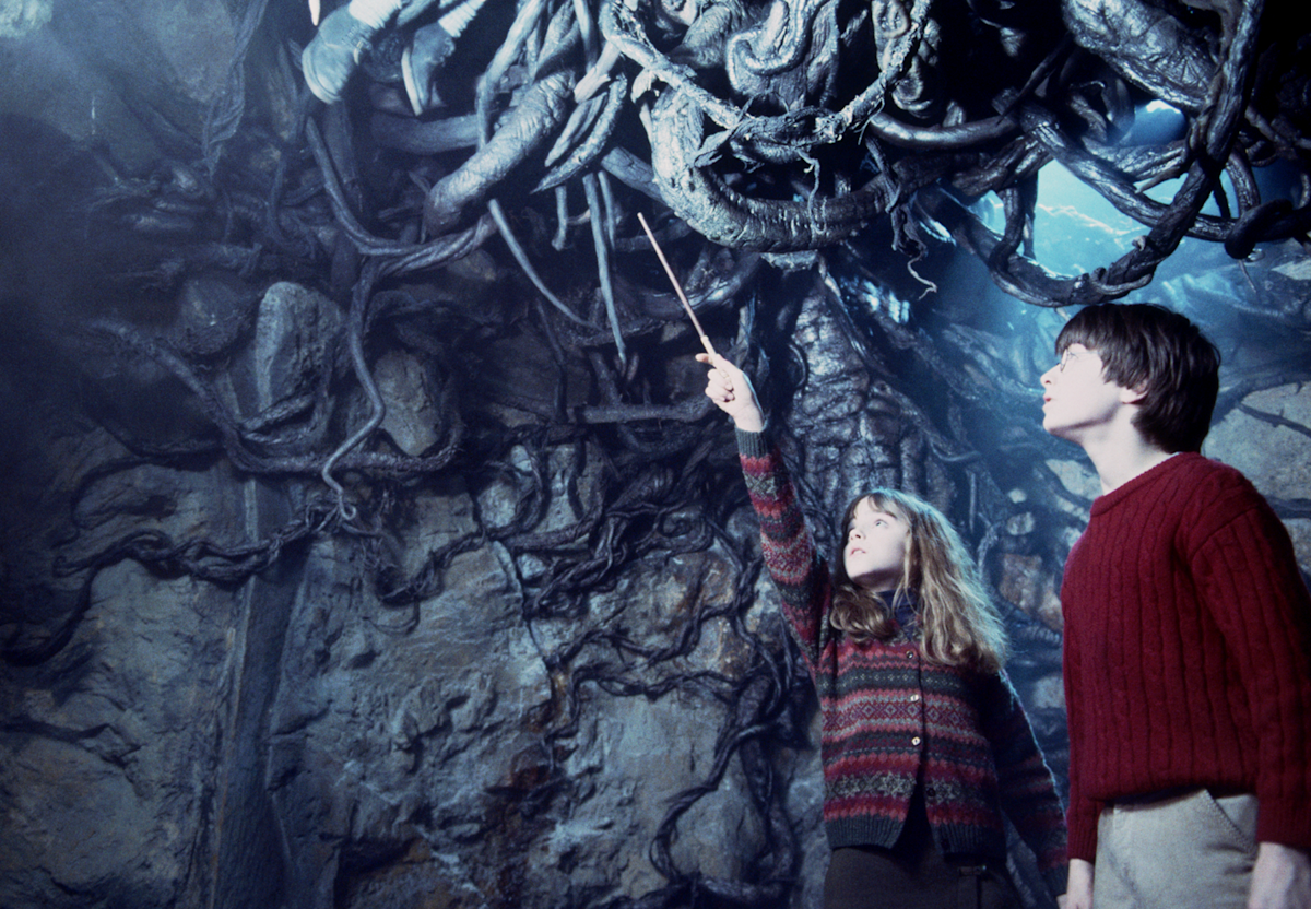 Devil's Snare | Official Harry Potter Encyclopedia