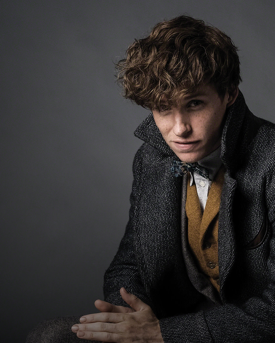 Harry Potter | Why Newt Scamander is a different kind of hero ...