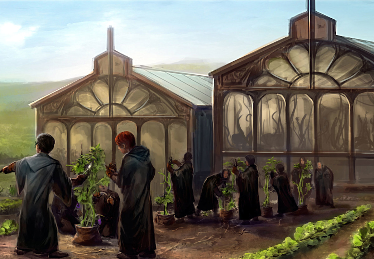 Herbology | Official Harry Potter Encyclopedia