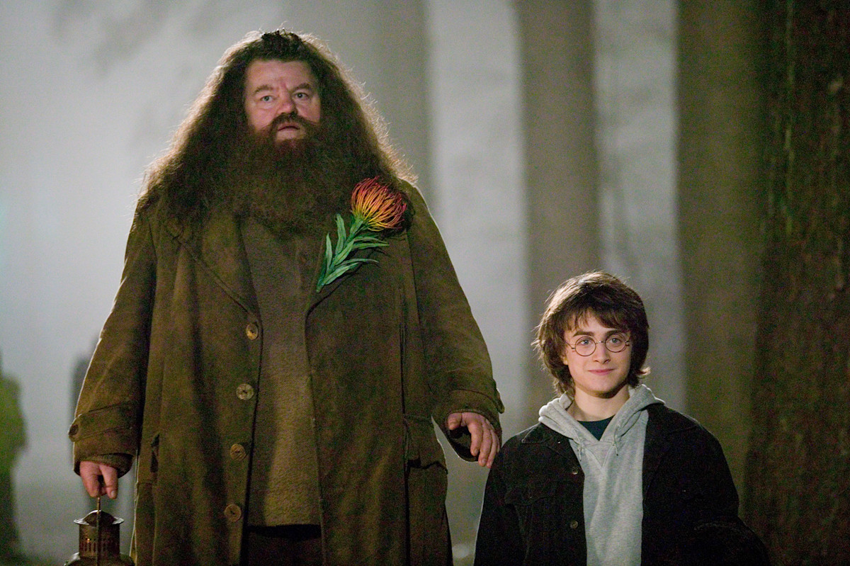 Harry Potter | Why Hagrid was the best father figure Harry had ...