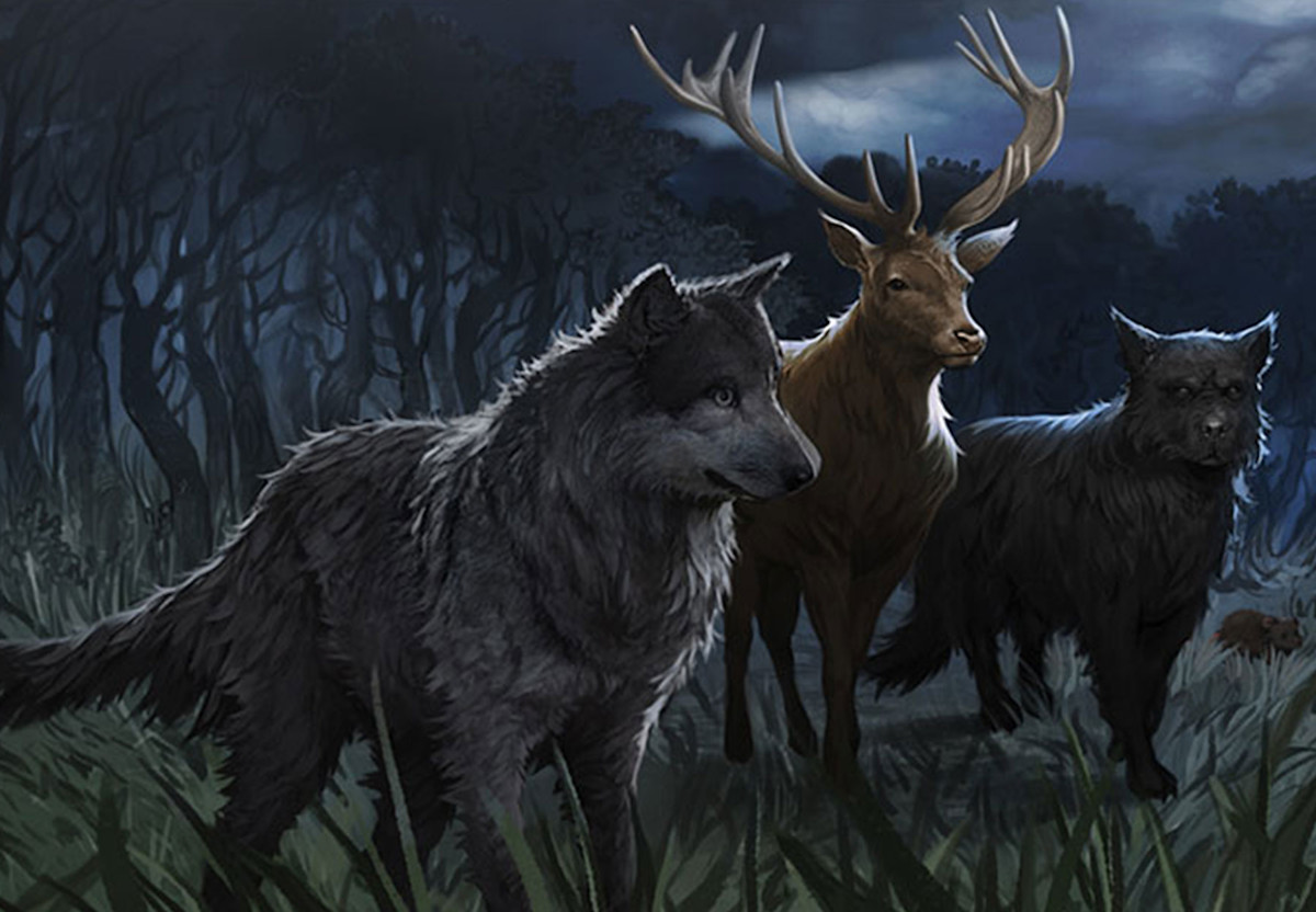 Harry Potter | The Animagus wordsearch | Wizarding World