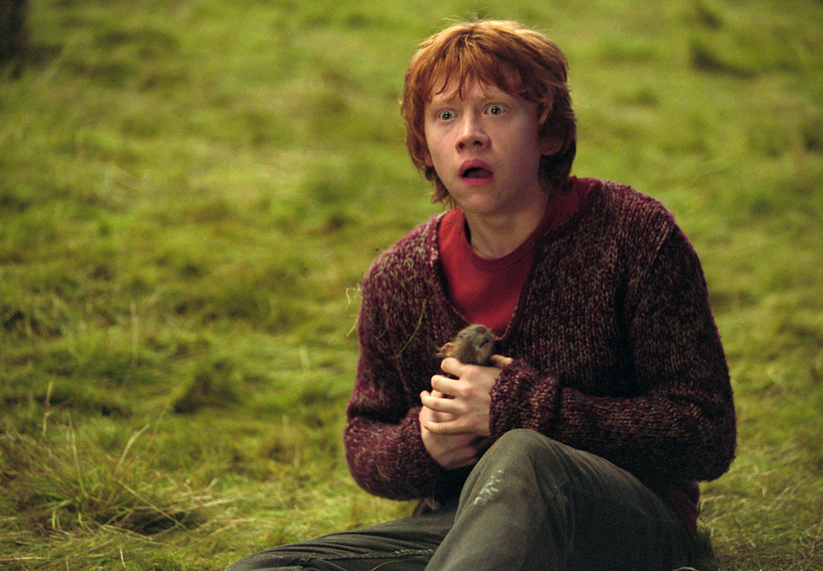 Scabbers | Official Harry Potter Encyclopedia