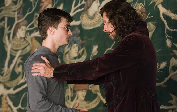 Harry Potter | The Harry or Sirius quiz | Wizarding World