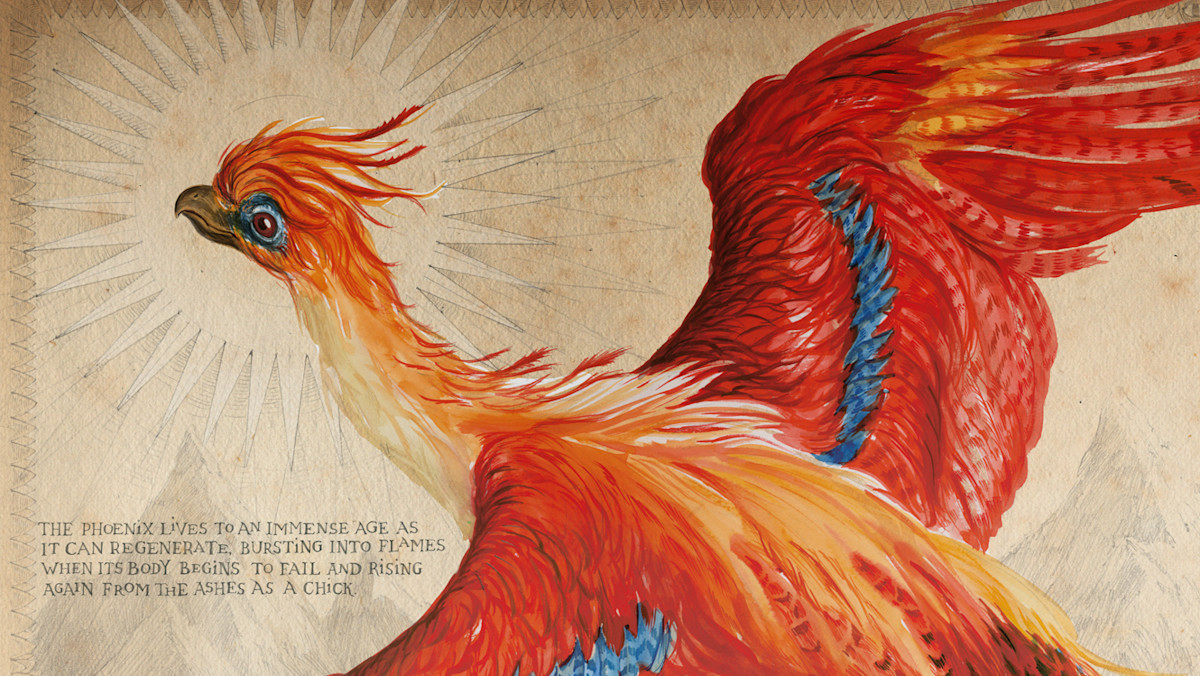 Harry Potter | The History of Magic Quiz | Wizarding World