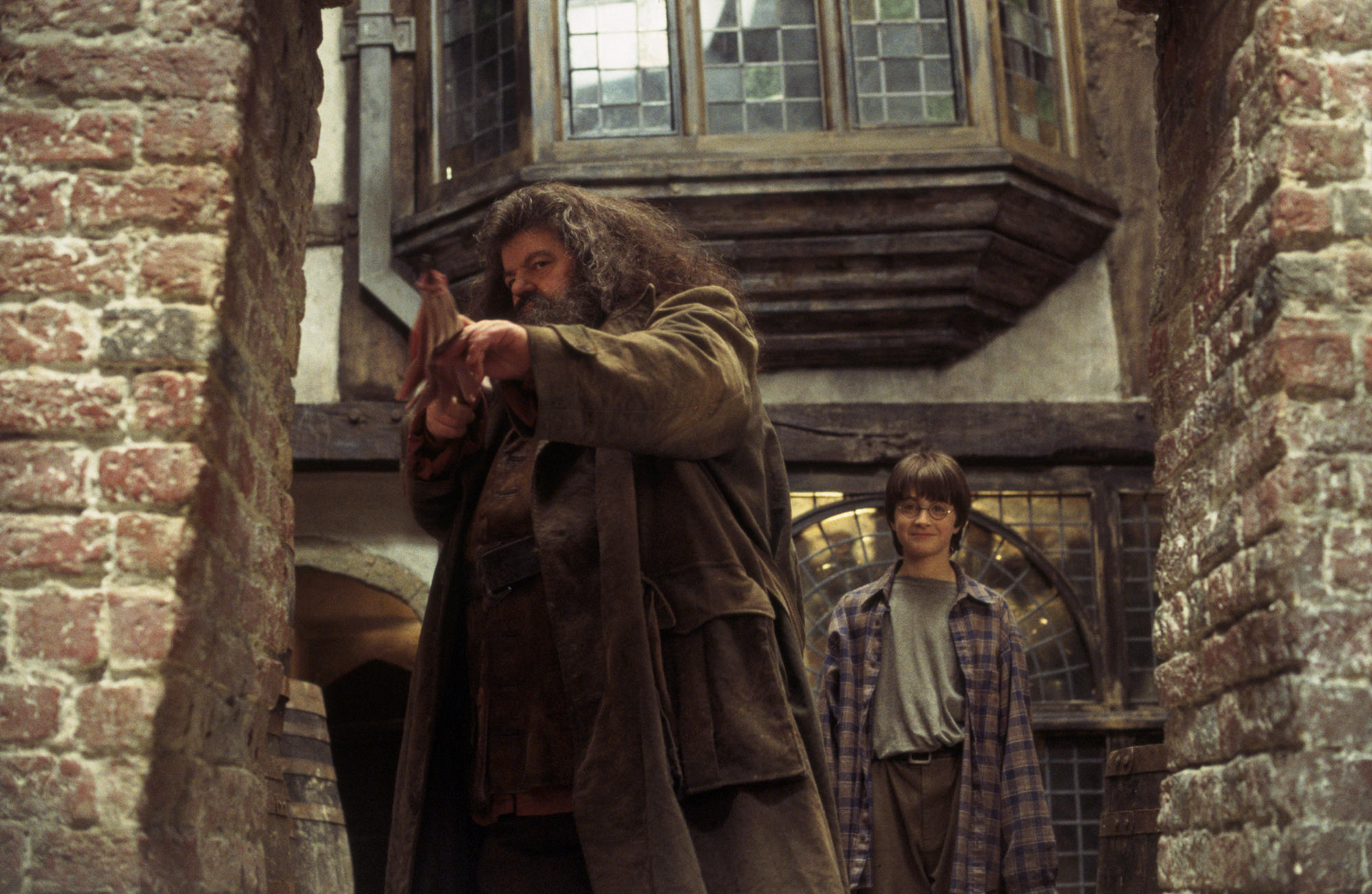 Hagrid zodiac sign 60 photos - Astrologytoyou.com